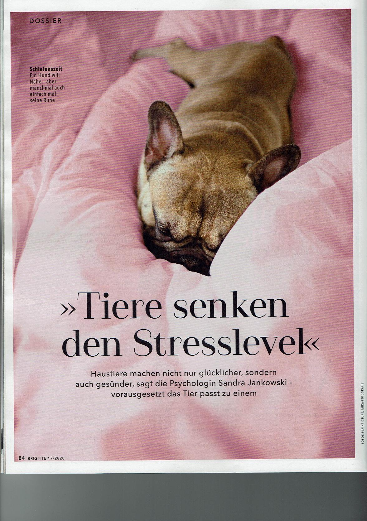 Pressearbeit – Diplom-Psychologin Sandra Jankowski